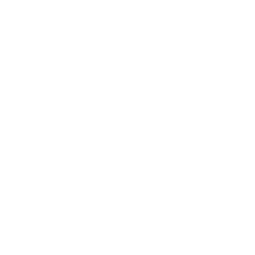 SatinDeco | Guardian Glass