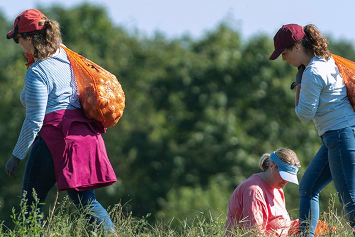 Social Stewardship | Guardian Glass